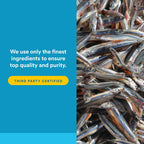 fish oil for kids wellness