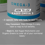 fish oil omega 3 for brain function