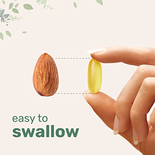 fish oil omega 3 for brain support