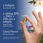 fish oil omega 3 for brain support
