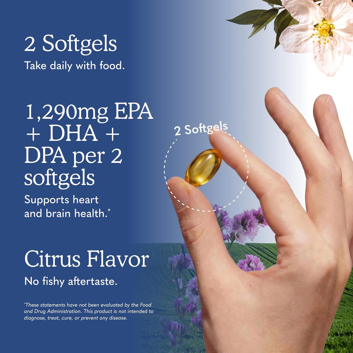 fish oil omega 3 for brain support
