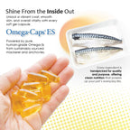 fish oil omega 3 for healthy joints