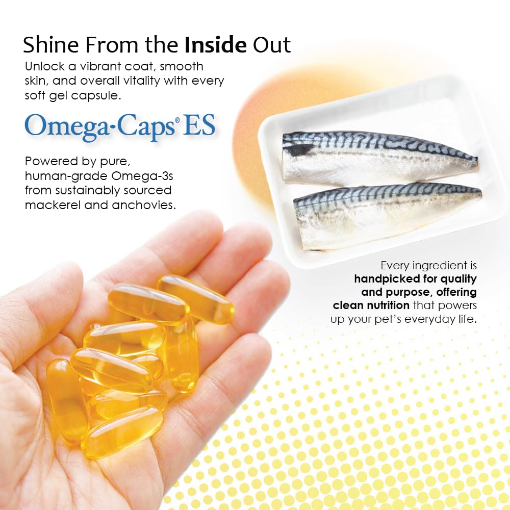 fish oil omega 3 for healthy joints