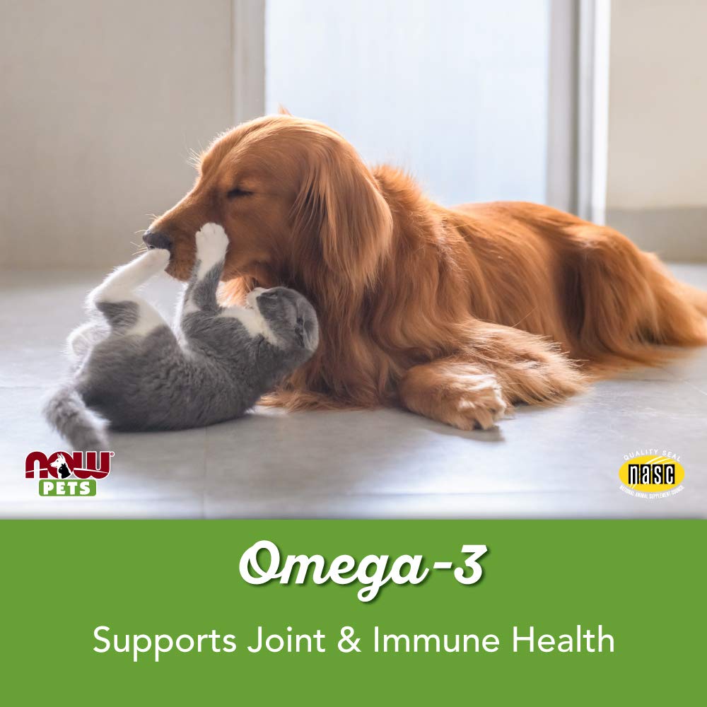 Fish oil omega 3 for shiny coats