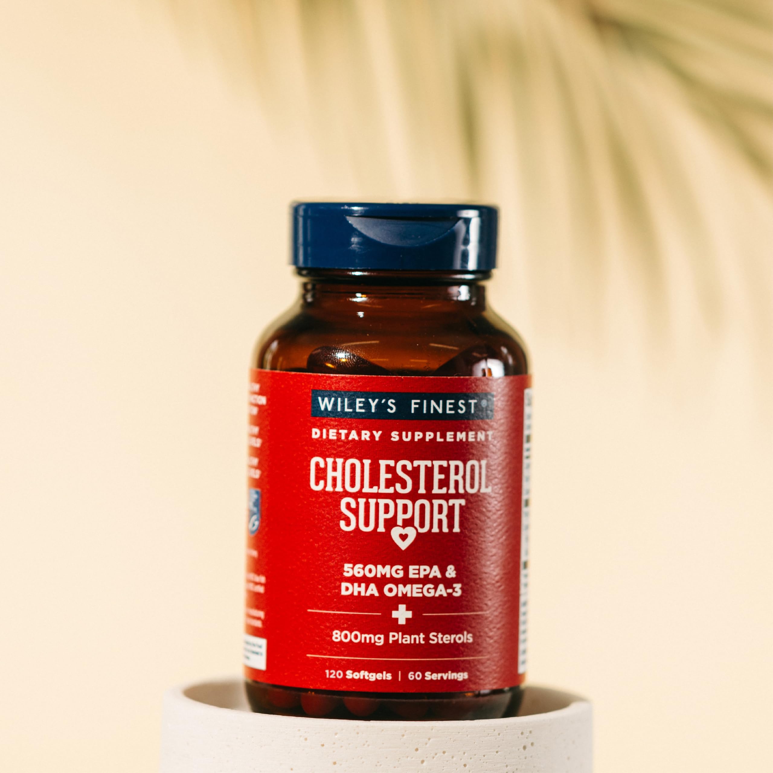 Fish oil rich in Omega-3 fatty acids