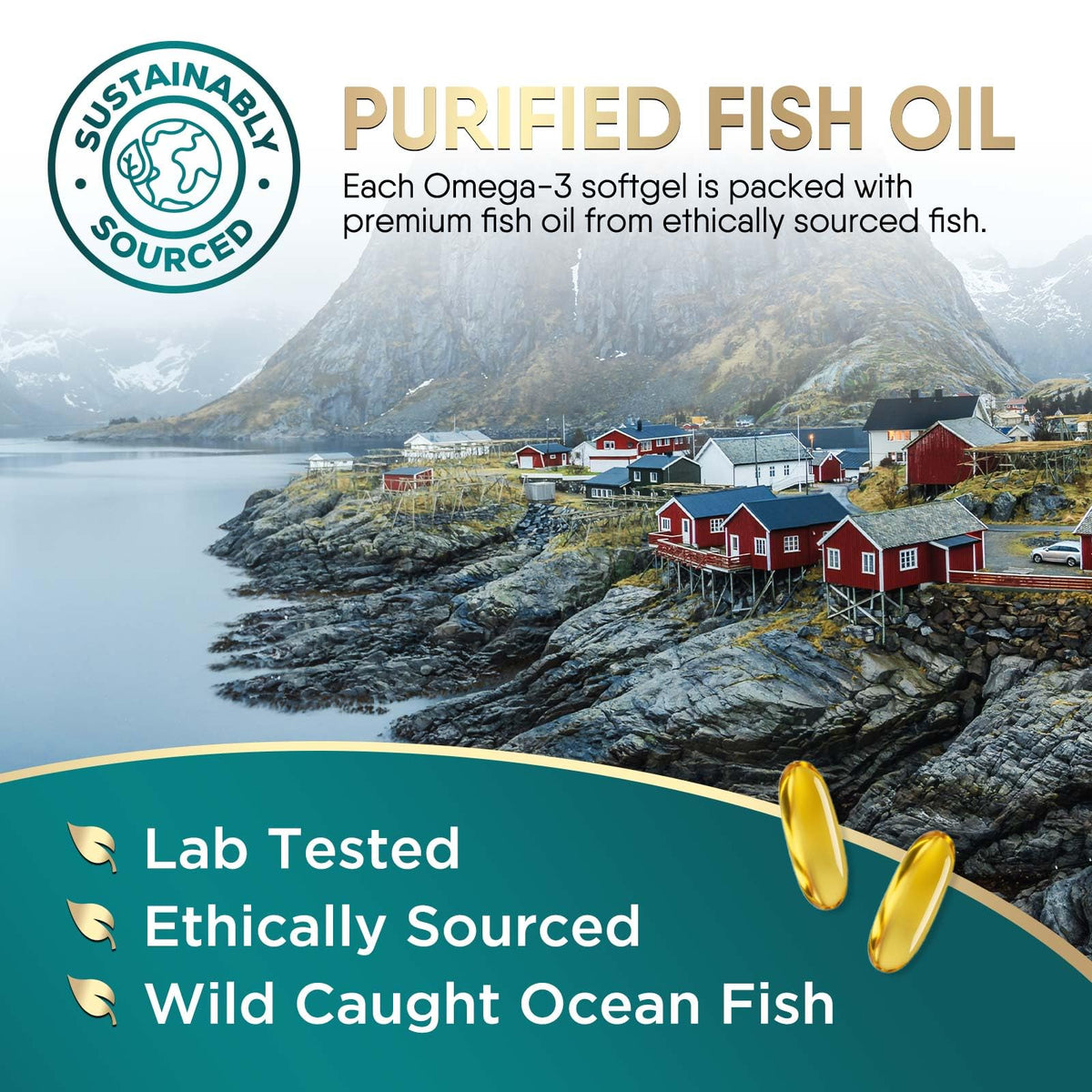 fish oil softgels for daily wellness