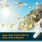 fish oil softgels for daily wellness