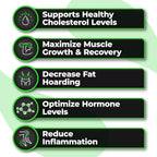 fish oil supplement for kids