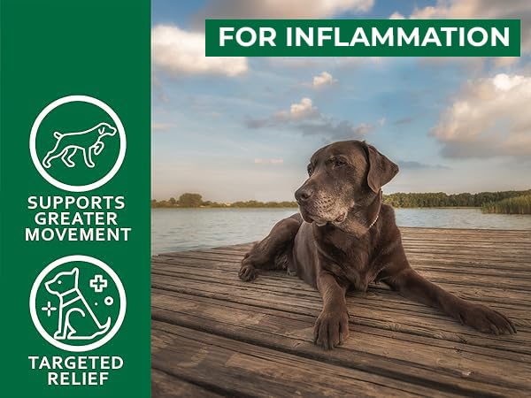 fish oil tablets for mobility