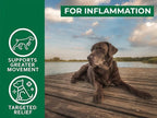 fish oil tablets for mobility