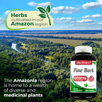 FITOMEDIC's Lab pine bark benefits