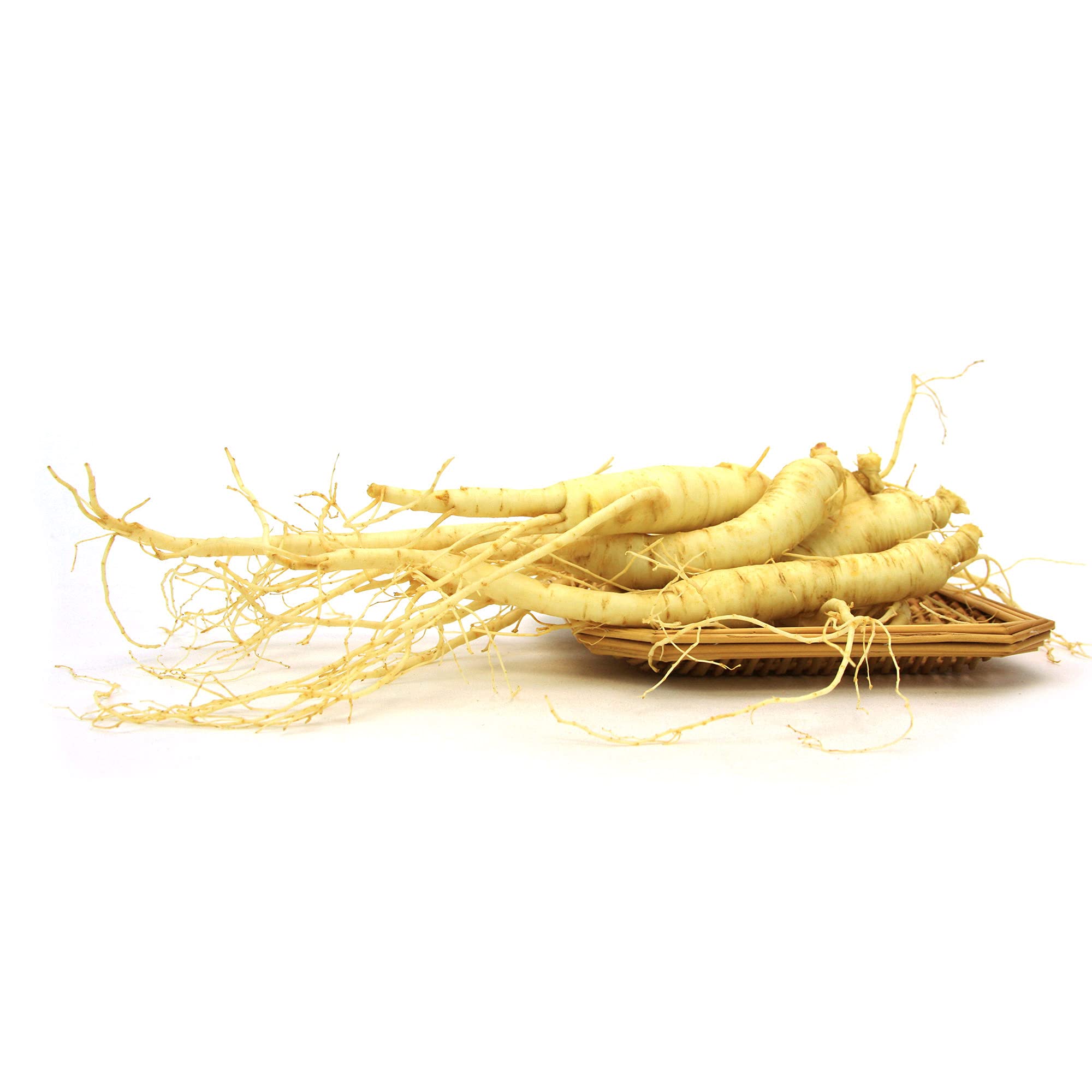 five years grown ginseng roots