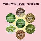 Flat Tummy Tea herbal detox packs
