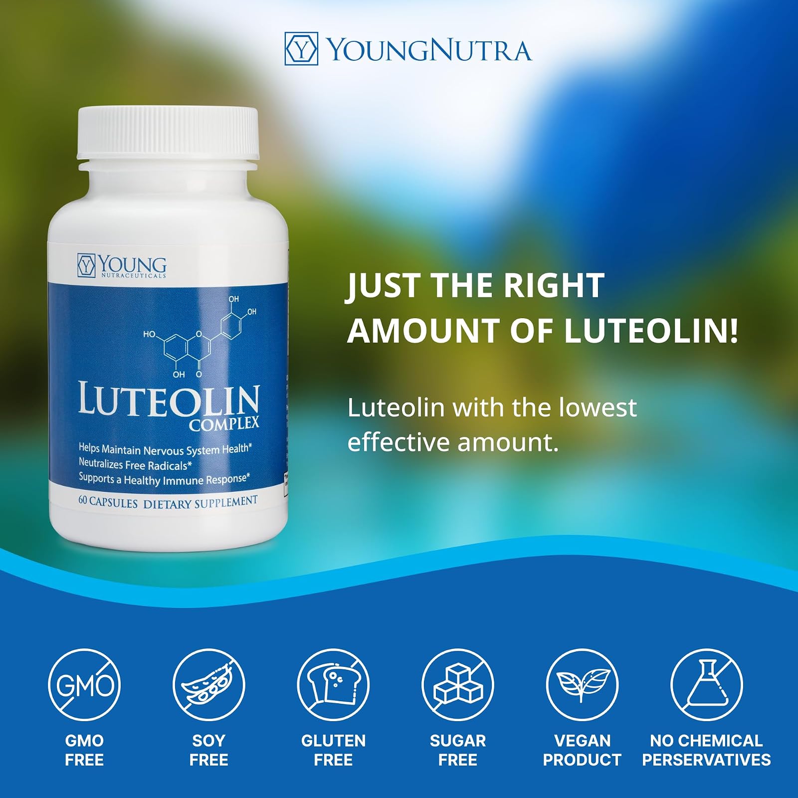 flavonoid capsules for immune health