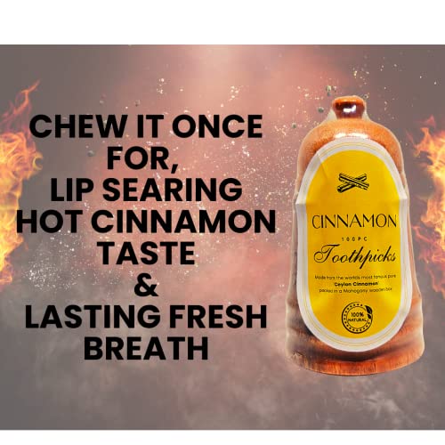 flavored toothpicks with real cinnamon