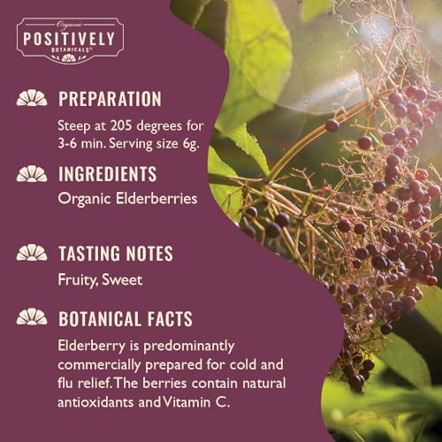 flavorful elderberry tea for immunity
