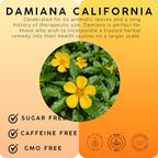 flavorful herbal infusion for tea lovers