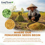 flavorful herbal tea for daily use