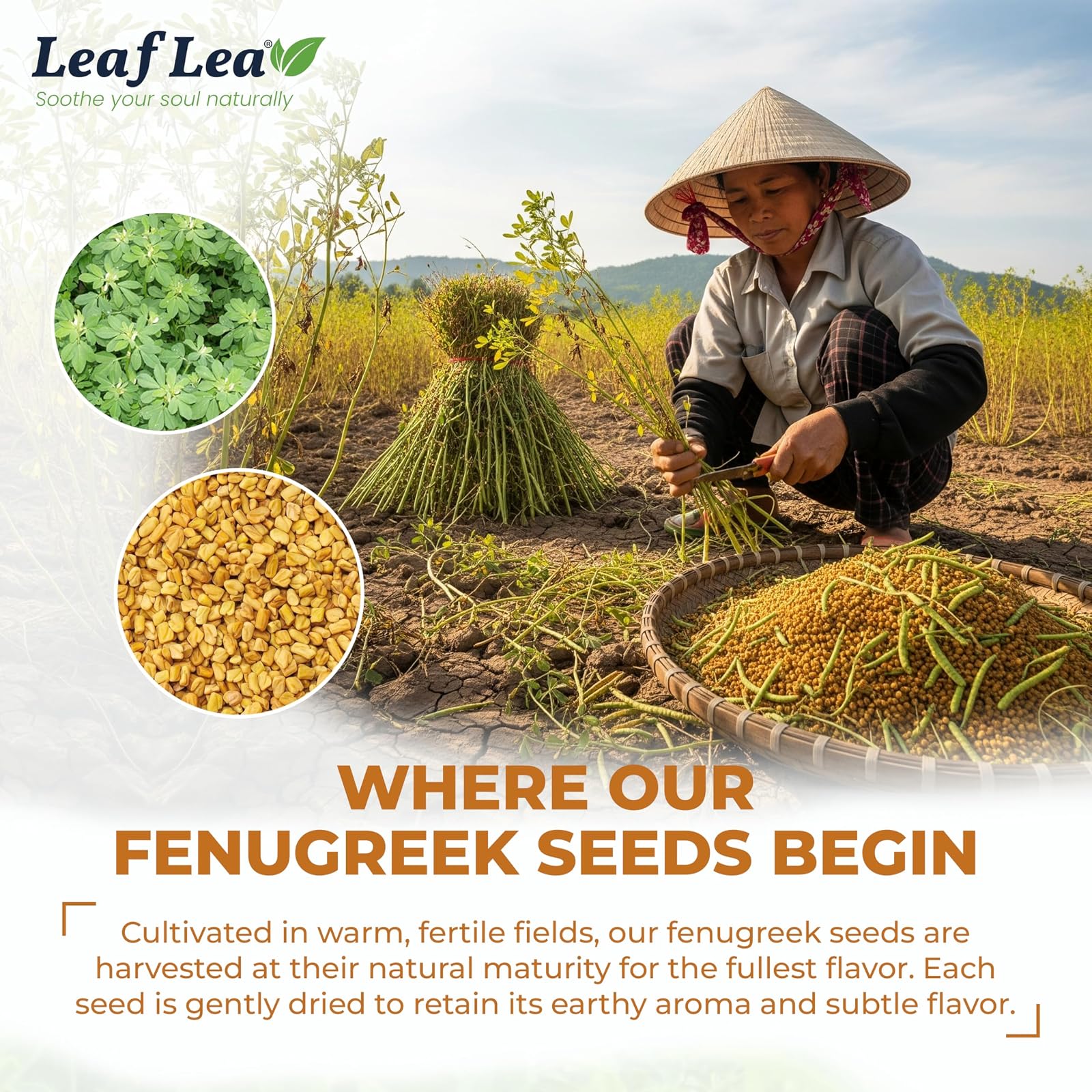 flavorful herbal tea for daily use