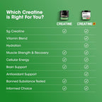 flavoured creatine powder for workouts