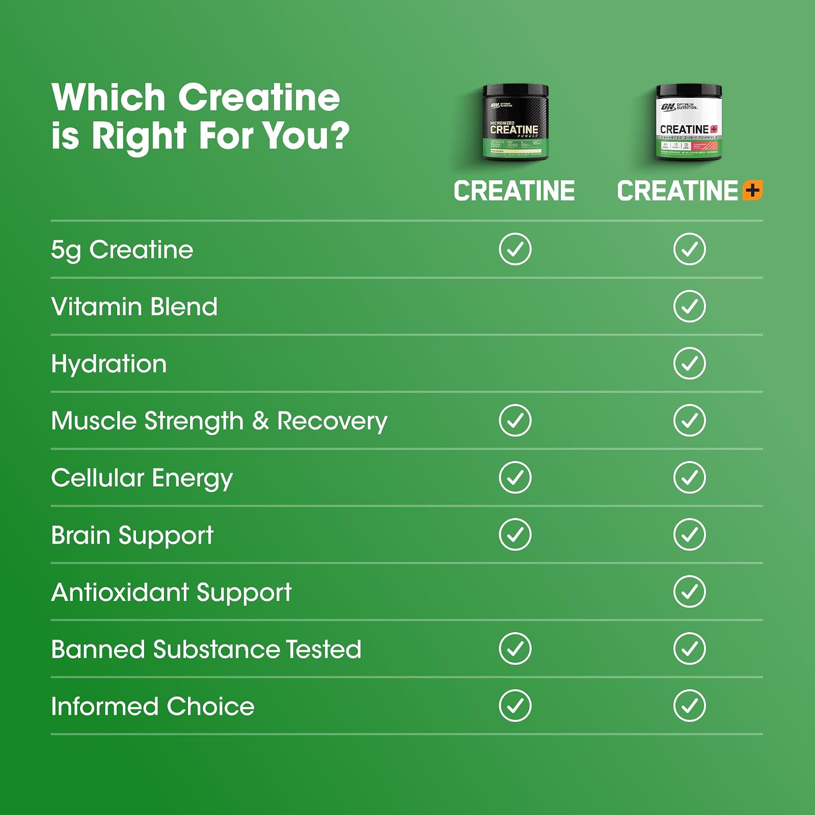 flavoured creatine powder for workouts