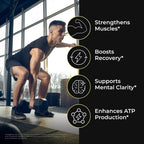 flavoured creatine powder for workouts