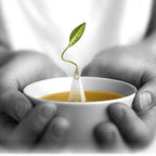 flavoured herbal tea with citrus notes