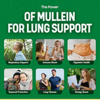 flavoured multivitamins for lung health