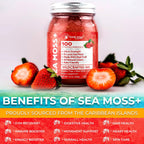 flavoured sea moss gel for wellness
