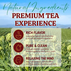 flavourful artichoke tea experience