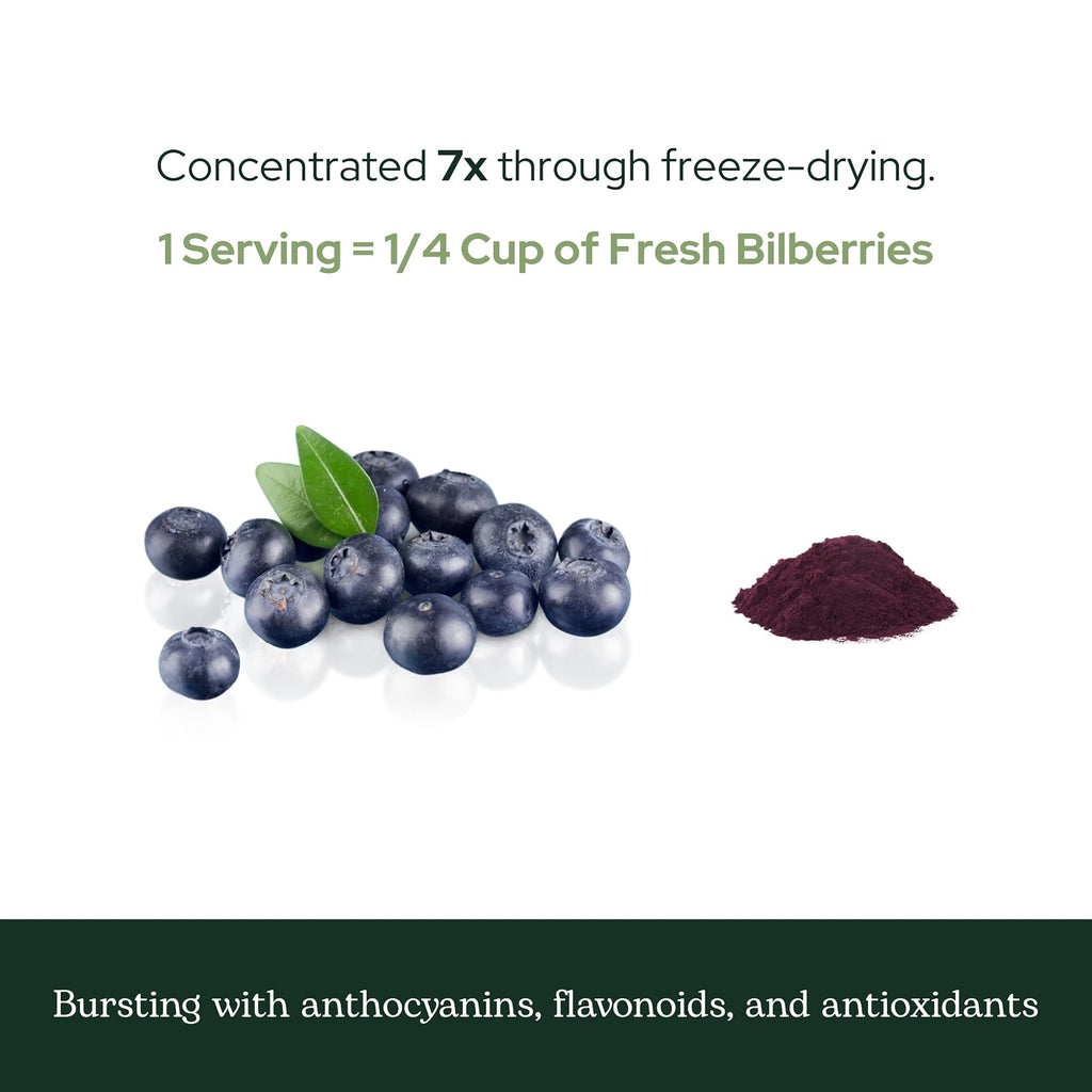 flavourful bilberry powder for teas