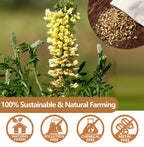 flavourful caffeine free herbal infusion
