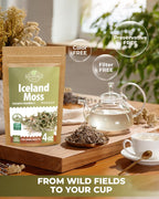 flavourful dandelion tea infusion