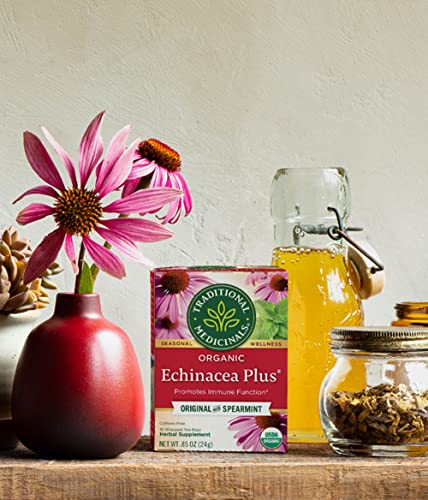 flavourful echinacea plus tea infusion
