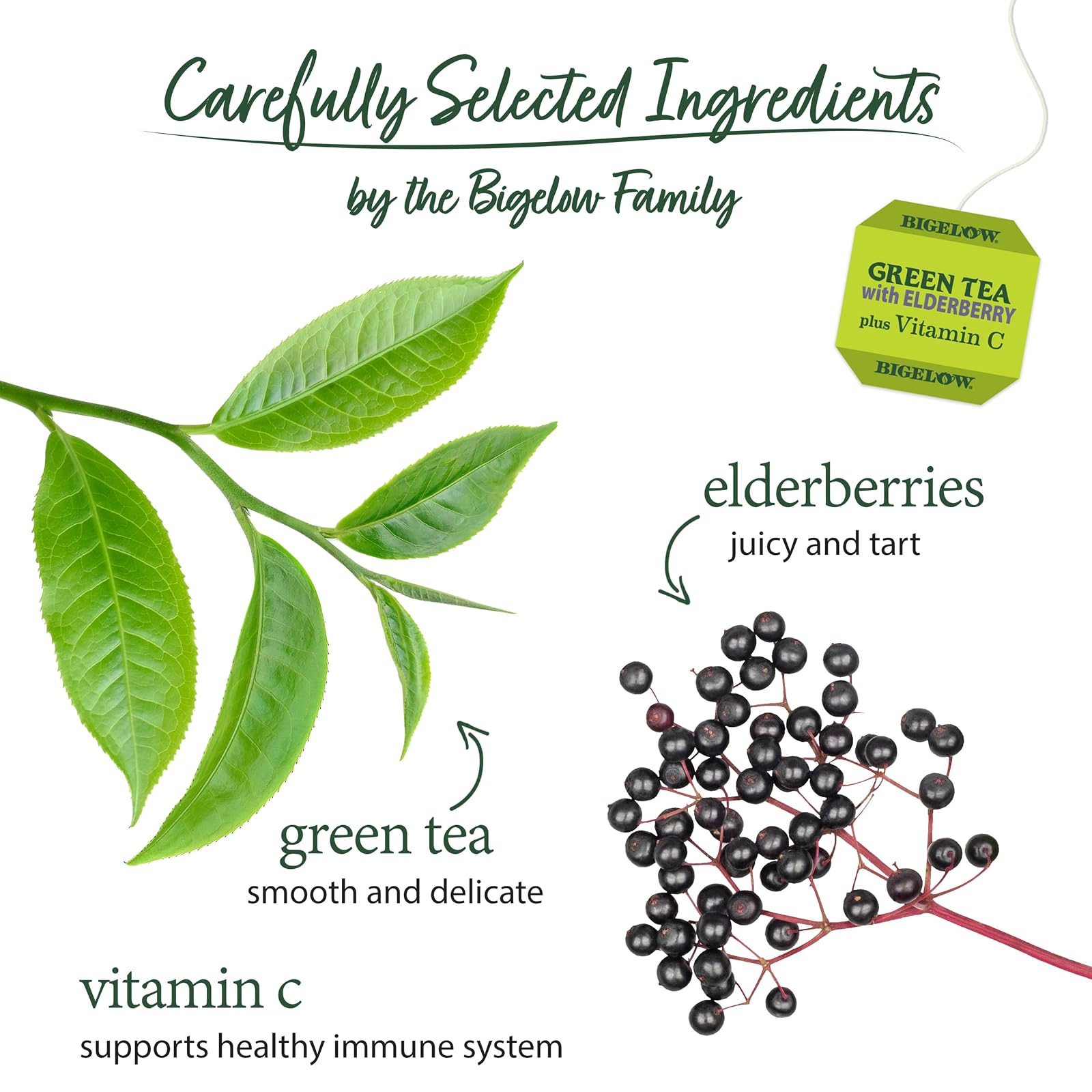 flavourful green tea bags