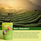 flavourful green tea experience
