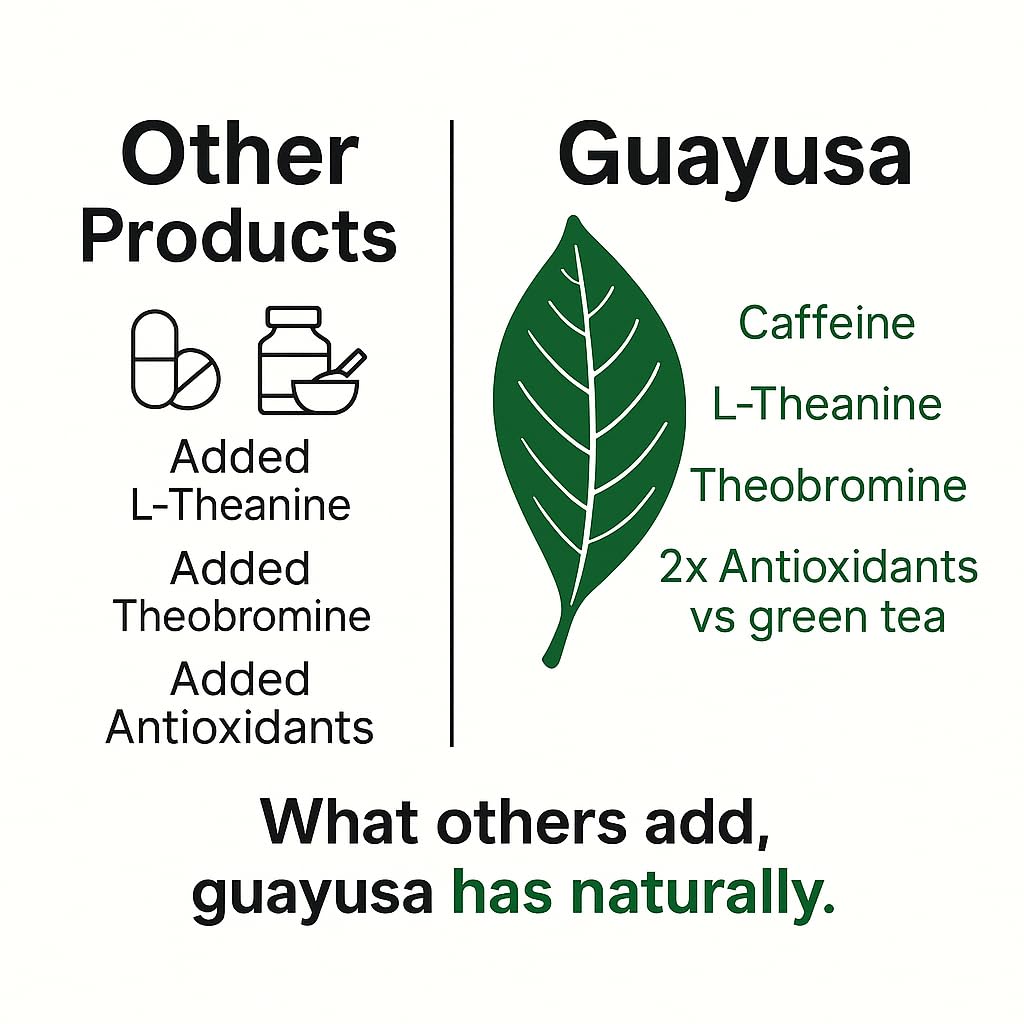 flavourful guayusa tea experience