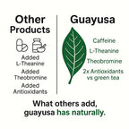 flavourful guayusa tea experience