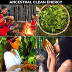 flavourful guayusa tea experience