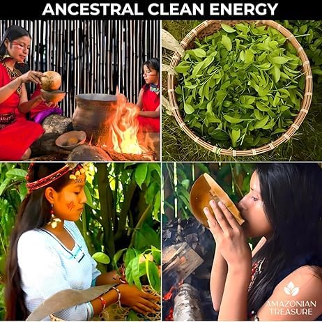 flavourful guayusa tea experience