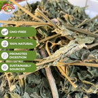 flavourful herbal detox tea option