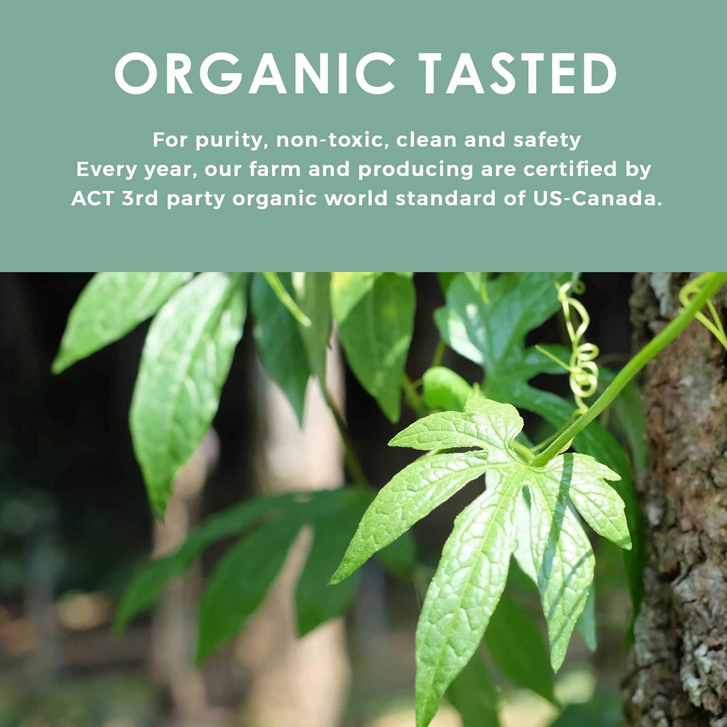 flavourful herbal tea experience