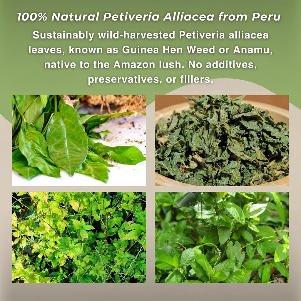 flavourful herbal tea experience
