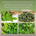 flavourful herbal tea experience