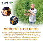 flavourful herbal tea for everyday use
