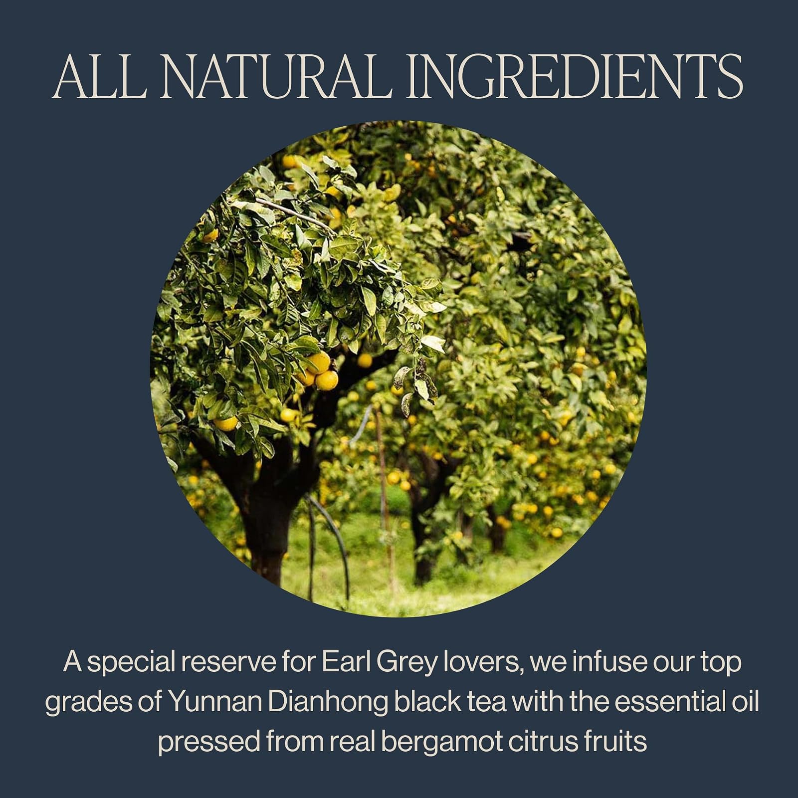 flavourful herbal tea for relaxation