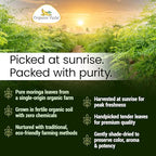 flavourful herbal tea for relaxation