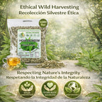 flavourful herbal tea for relaxation
