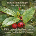 flavourful herbal tea for relaxation
