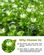 flavourful herbal tea for wellness